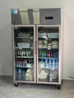 China Be born freezer ark of large window door body freezer ark of large capacity freezer for sale