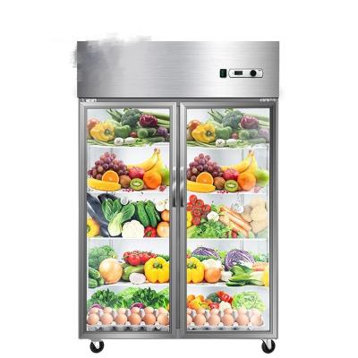 China Be born freezer ark of large window door body freezer ark of large capacity freezer for sale