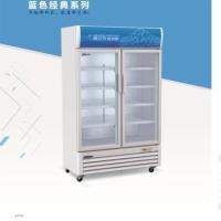 China China high quality double door laboratory refrigerator large capacity commercial family freezer freezer for sale