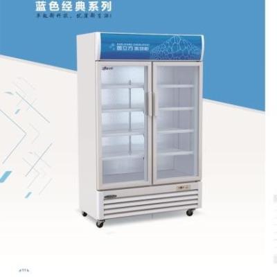 China China high quality double door laboratory refrigerator large capacity commercial family freezer freezer for sale