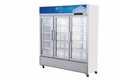 China Blue Direct Cooled Beverage Display Cabinet Double Door Fresh Keeping Cabinet for sale
