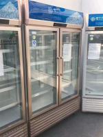 China Double door refrigerator commercial freezer  freezerbeer freezer for sale