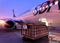 China China to Russia Air Freight Forwarder 1 Day Transit Time Direct Routes for sale
