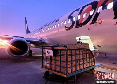China China to Russia Air Freight Forwarder 1 Day Transit Time Direct Routes for sale
