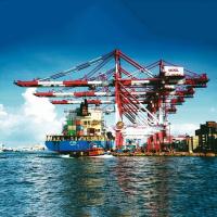 China Door to Door DDU Sea Freight Shipping Service from China to USA 12-25 Days for sale