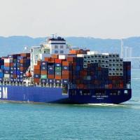 China DDU LCL Sea Freight Service with Customs Clearance and Trucking for Cartons Pallets to USA Canada for sale