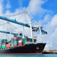 China DDU Shipping Service FCL LCL Sea Freight from China Ports 20GP 40HQ for sale