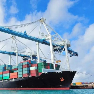 China DDU Shipping Service FCL LCL Sea Freight from China Ports 20GP 40HQ for sale