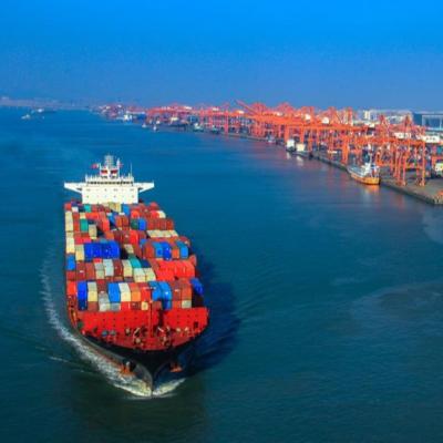 China DDU Door to Door Sea Freight Forwarder Customs Clearance Shipping Service 20GP 40GP for sale