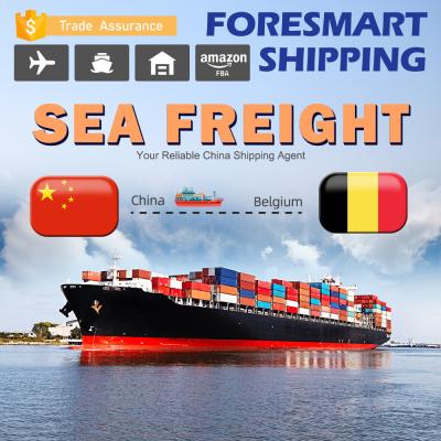China 40ft China To Belgium International Sea Freight Services for sale