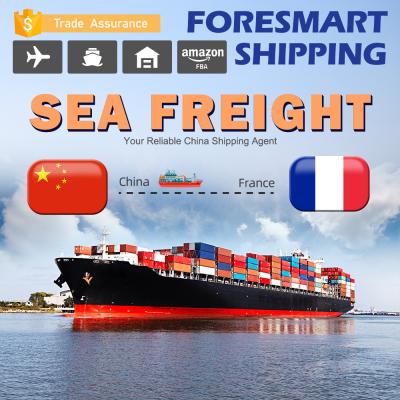 China China To France International Ocean Freight Shipping for sale