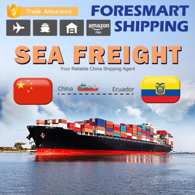 China China To Ecuador International Sea Freight Services , Sea Container Shipping for sale
