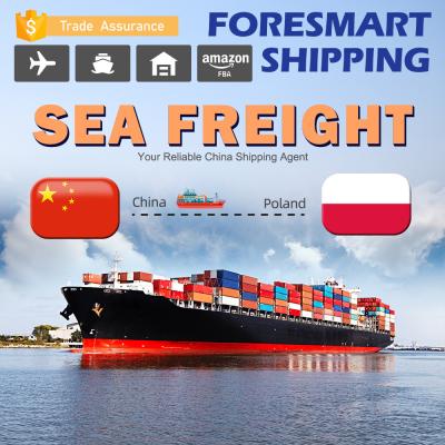 China China To Poland International Sea Freight Services , 20ft 40ft FCL LCL Sea Shipping for sale