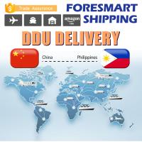 China China To Philippines DDU Shipping Service Freight Forwarder for sale