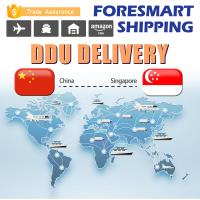 China Repacking Warehousing DDU Shipping , Shipping From China To Singapore for sale