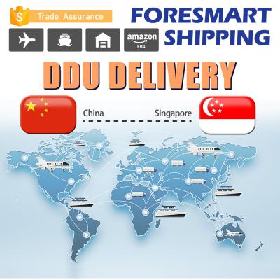 China Repacking Warehousing DDU Shipping , Shipping From China To Singapore for sale