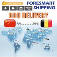 China Port To Port China To Belgium DDU International Shipping for sale
