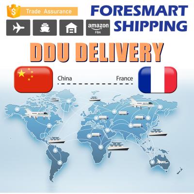China One Stop Service Diretly DDU Shipping , Shipping From China To France for sale