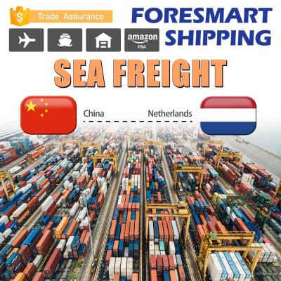 China Shenzhen To Netherlands FCL Ocean Freight Container Shipping for sale
