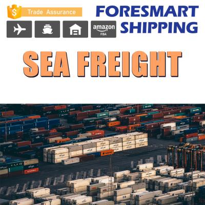China Sea Freight Shenzhen China To Global LCL Container Shipping for sale