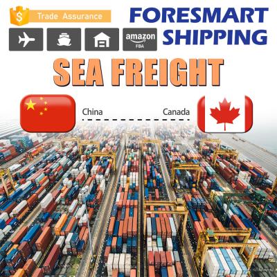 China 40FT Container Shenzhen To Canada FCL Sea Freight for sale