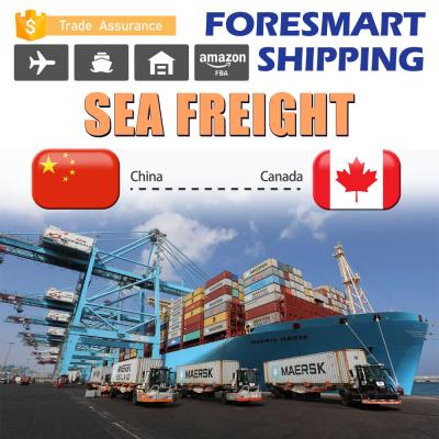China China To Canada Door To Door DDP North America Shipping for sale