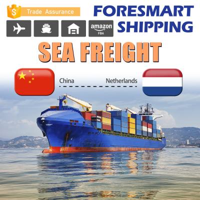 China China To Netherlands Container Freight Forwarder , FCL LCL Container Shipping for sale