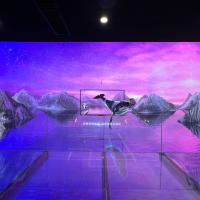 China COB Immersive Indoor Display Screen The Ultimate Solution For Museum Exhibitions for sale