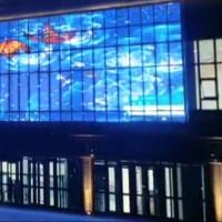 China Transparent Led Screen 1000*500 1000*1000 Customize Size Indoor Series Glass Shopping Mall Fixed Or Hoisting for sale