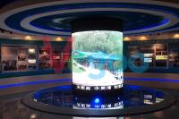 China High Brightness Waterproof IP65 Ball LED Display 62500 Pixel/M2 for sale