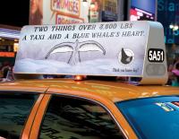 China 1R1G1B SMD2727 Advertising 5mm Taxi LED Display Wireless Taxi Top Sign for sale