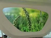 China P2.5 Indoor Led Displays High Gray Scale Display Led Screens Soft Colors Low Power for sale