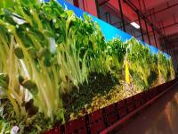 China Full Color indoor Led Display P 2.5 Module Size 320 mm X 160 mm , Cabinet Size 640 mm X 640 mm for sale