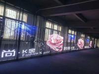 China P3.91-7.8 Transparent Led Wall Window Showcase Slim Light Cabinet Unit Size 1000*500mm Weigh 10kg Sqm for sale