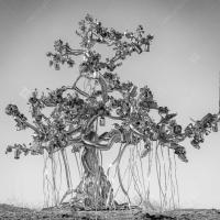 China 7.6m High Mirror Polished Stainless Steel 316L People Tree Sculpture for sale