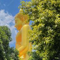 China Large Forging Bronze Buddha Statue H232ft Spray Paint Golden Finish for Thailand for sale