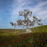 China H7.6m Stainless Steel 316L People Tree Sculpture Mirror Polished Contemporary Art for sale