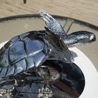 China Mirror Polished Stainless Steel Turtle Sculpture 0.5m Custom Options for sale