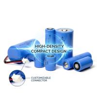 China AGV Robot Lithium Industrial Battery Packs 24V 48V Fast Charge CAN Bus High Discharge for sale