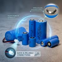 China AGV Robot Lithium Industrial Battery Packs 24V 48V Fast Charge CAN Bus High Discharge for sale