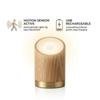 China Night Smart Luminaires Smart Motion Sensor LED Light USB Rechargeable Magnetic for sale