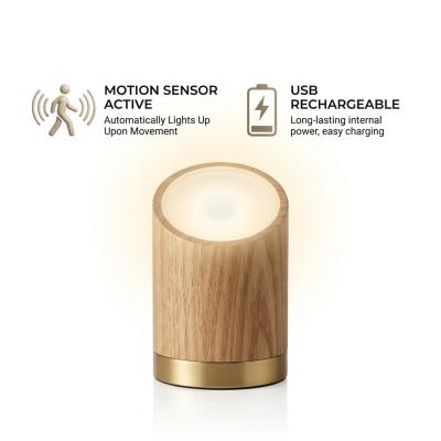 China Night Smart Luminaires Smart Motion Sensor LED Light USB Rechargeable Magnetic for sale