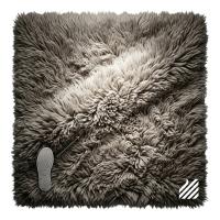 China Fluffy Soft Shag Area Rug Living Room Bedroom Floor Mat Modern Non Slip for sale