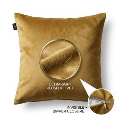 China Luxury Velvet Throw Pillow Cushion Cover Set Home Decor 2pcs Soft Home Furnishings for sale