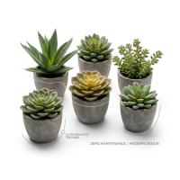 China Plant Artificial Succulents In Pots Set Green Modern Desk Office Decor Small for sale