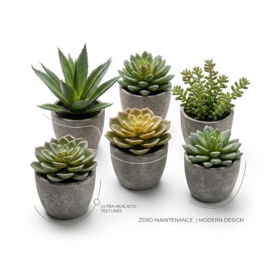 China Plant Artificial Succulents In Pots Set Green Modern Desk Office Decor Small for sale