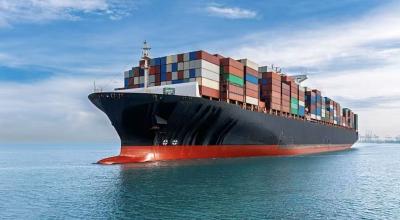 China Oversized Cargo Sea Freight Shipping 360 Days Free Storage Heavy Equipment Transport for sale
