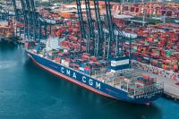 China Global International Shipping Service Full Container LCL Sea Freight Customs Clearance Included for sale