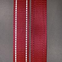 China Pet supplies Reflective webbing  Polyester fiber Safety belts Outdoor equipment for sale