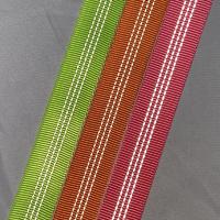 China High visibility reflective strips Hollow Nylon-look webbing Pet supplies Backpacks Rescue safety Belts Outdoor Equipment for sale